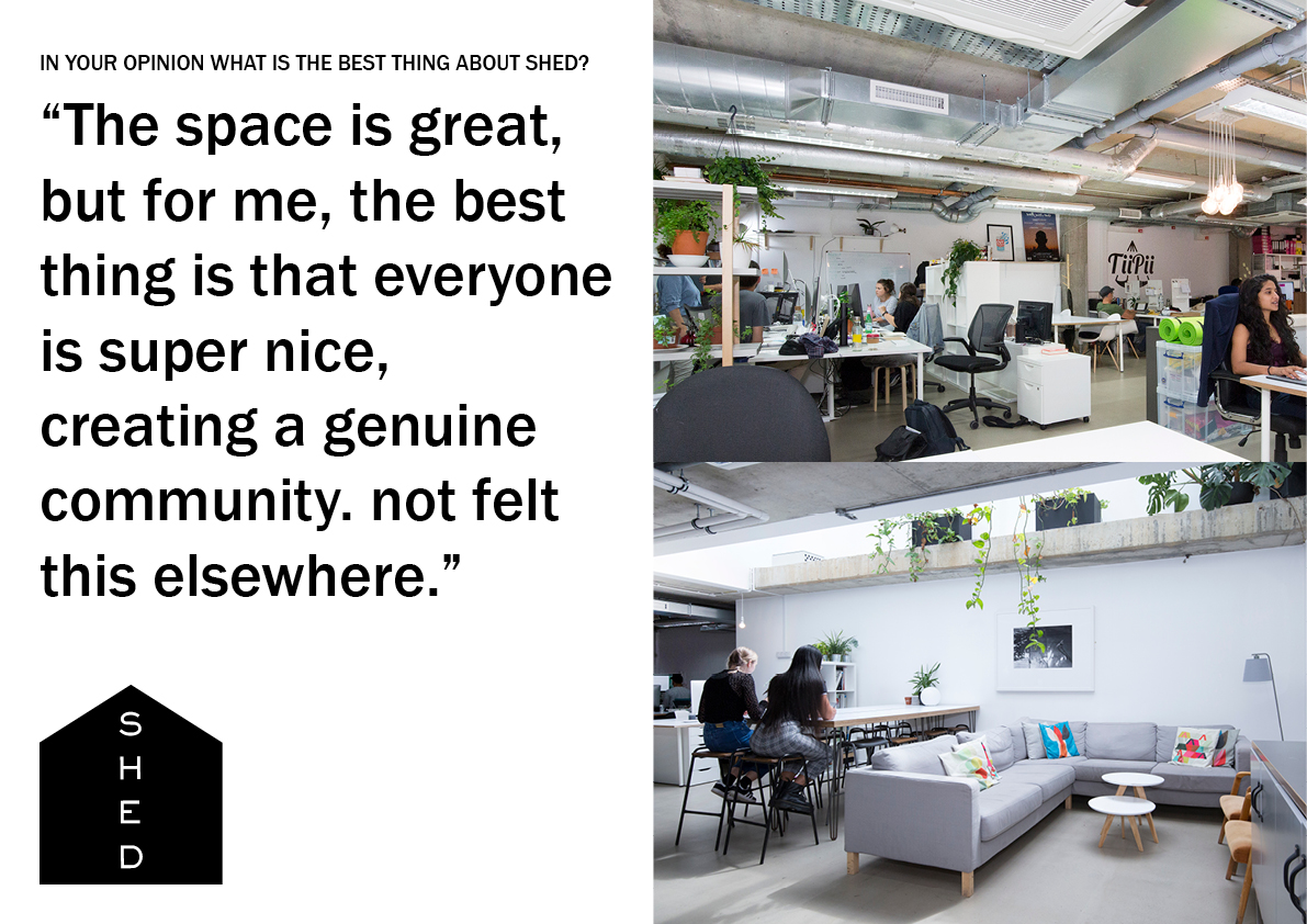 Shed_Adverts_01.28 - Shed London